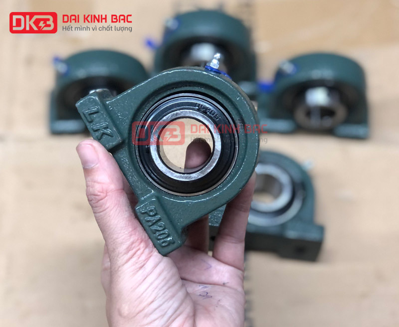 Gối Đỡ Vòng BI UCPA 206